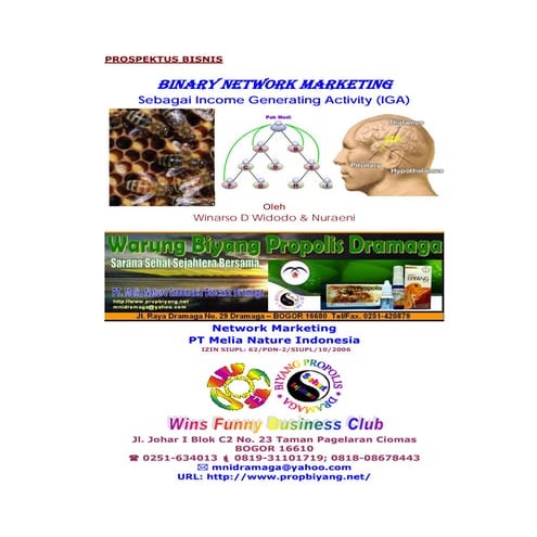 Income Generating Activity | PDF