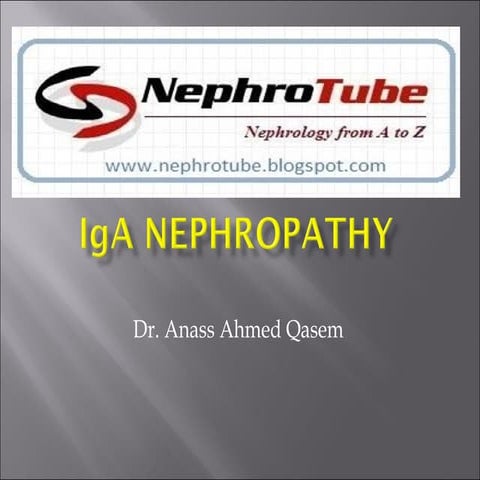 IgA nephropathy | PPT
