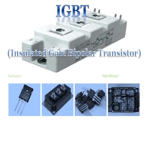 IGBTprofessionalmaganementAssistantco.pdf