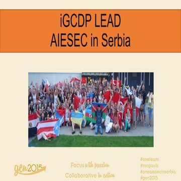 AIESEC Academy | PODIO Manual (OGX) | PDF