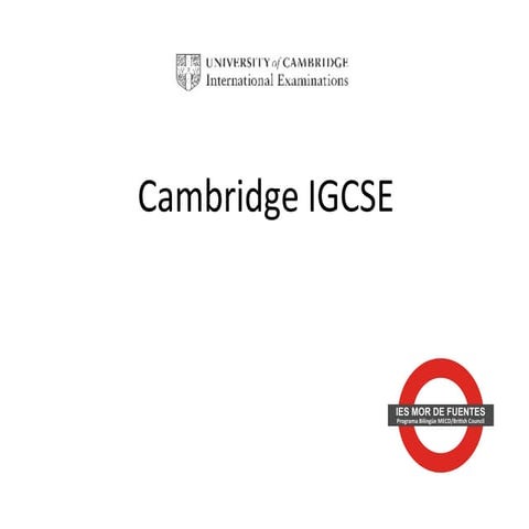 GCSE Biology Enzymes | PPT