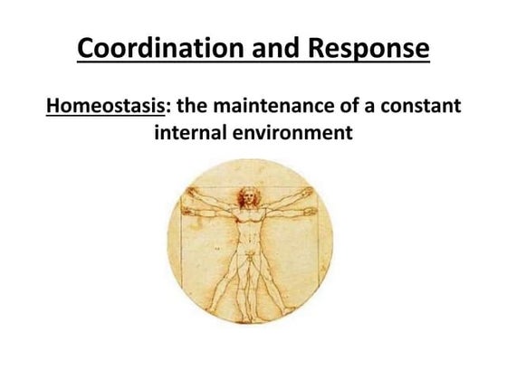 Powerpoint homeostasis | PPT