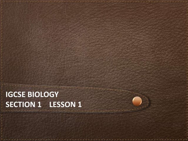 Mrs gren and kingdoms | PPT