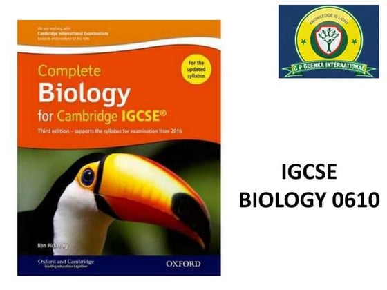 L5 - Salts from insoluble bases.pptx