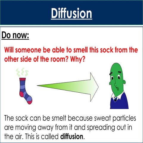 Diffusion lab report | PDF