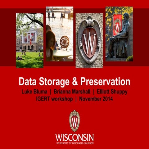 Data Storage & Preservation | PDF