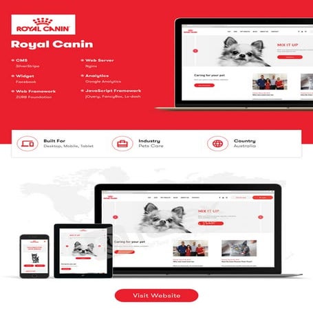 Website Development Brochure | PDF | Web Development | Internet