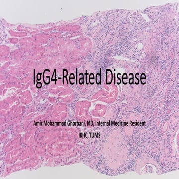 IgG4-Related Disease | PDF