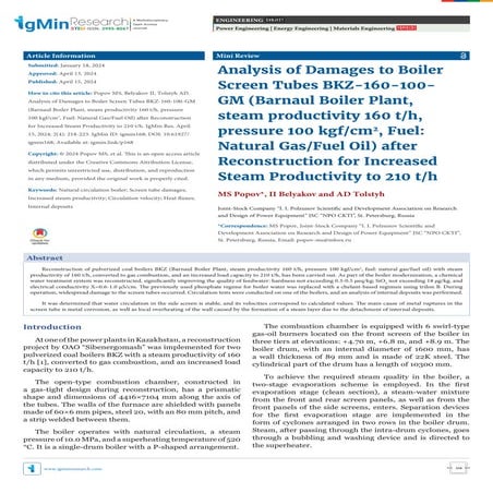 Screen Tube Failures Explained: A Case Study of BKZ Boilers | PDF
