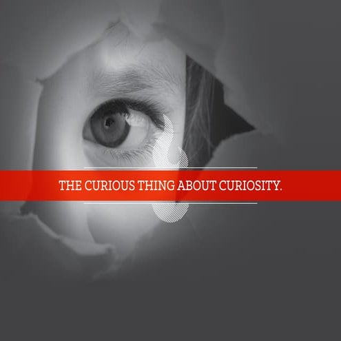 The Power of Curiosity | PDF