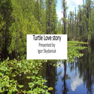 Igor turtle love story | PPTX