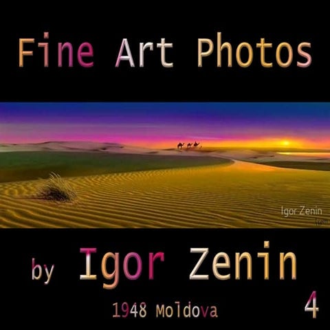 Igor Zenin 4 | PPT