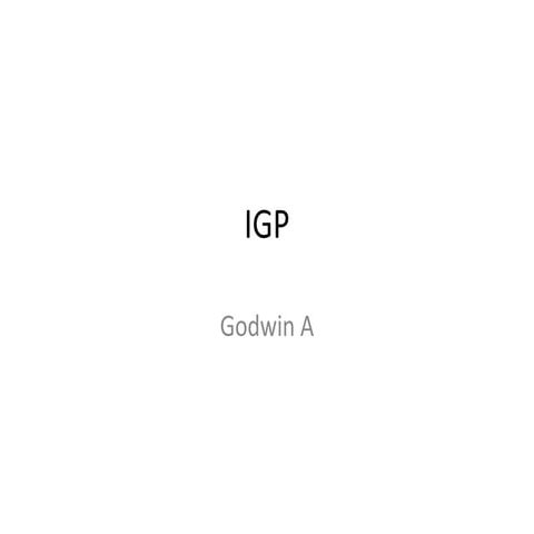 Igp | PPTX