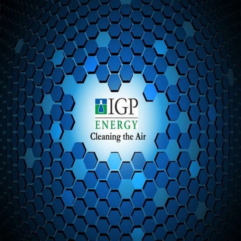 Igp china business review | PPTX