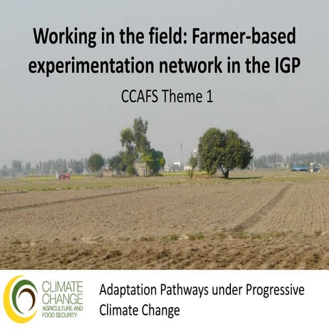 Participatory variety selection: a tool to understand farmers’ potato ...