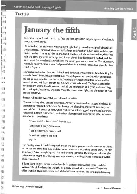 IGCSE 1 English Lang: Two of a Kind | PDF