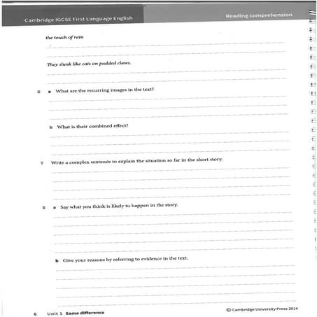 IGSE 1 worksheet for 1B pg 2 | PDF