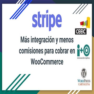 Stripe | PPTX