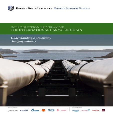 International Gas Value Chain Course | PDF
