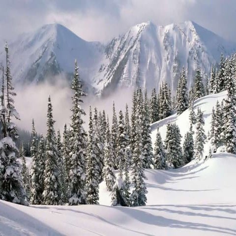 The Icy Hills | PPTX