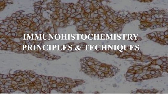 Basics of Immunohistochemistry (IHC) | PPT
