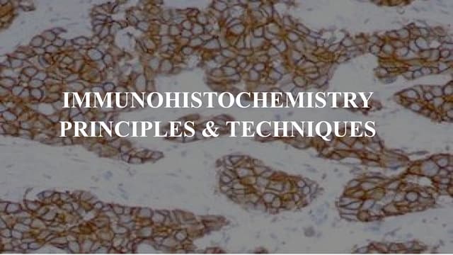 Basics of Immunohistochemistry (IHC) | PDF | Chemistry | Science