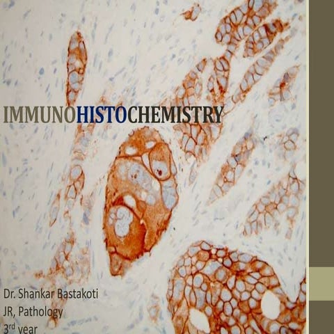Basics of Immunohistochemistry (IHC) | PDF