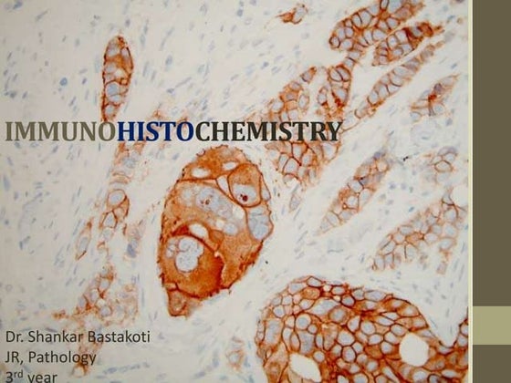 Basics of Immunohistochemistry (IHC) | PDF | Chemistry | Science