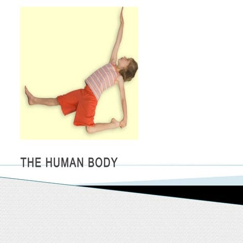 Science Unit 2: the human body | PPT