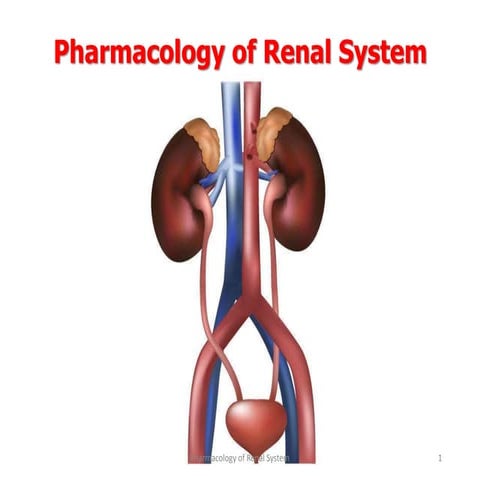 Parmacology of Renal System by Birhanu Geta | PPTX