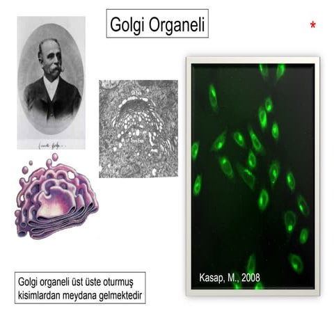 II. Eukaryotic Cell and organel biogenesis 2 | PPT