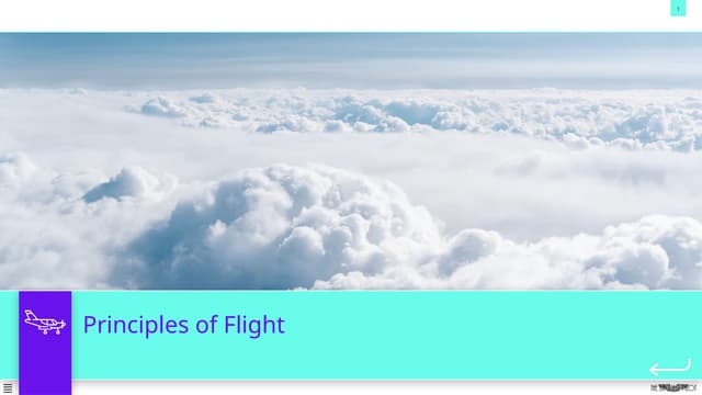 Basic Principles of Flight.pptx