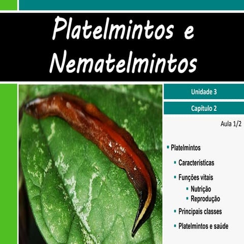 III.2 Platelmintos e Nematelmintos | PDF