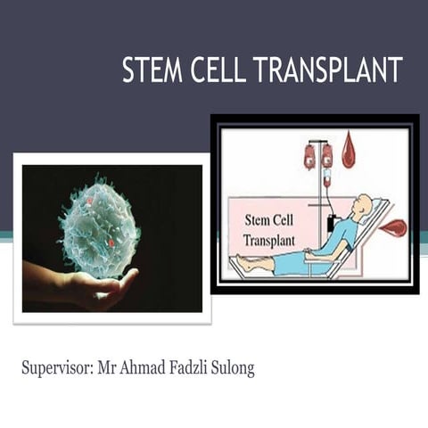 stem cell transplant for iimp | PPT | Blood Disorders | Diseases and ...