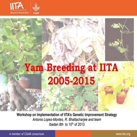 Iita yam breeding 2005-2015 | PPTX
