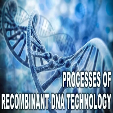 Biotechnology principal and process 2.pdf