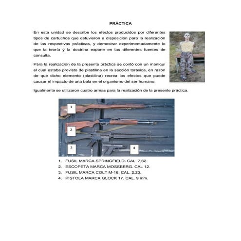 ll Unidad Cartucheria - Práctica | PDF