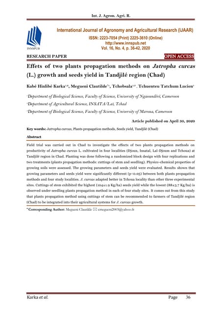 Jatropha Curcas and Its Potential Applications | PDF | Agriculture | Industries