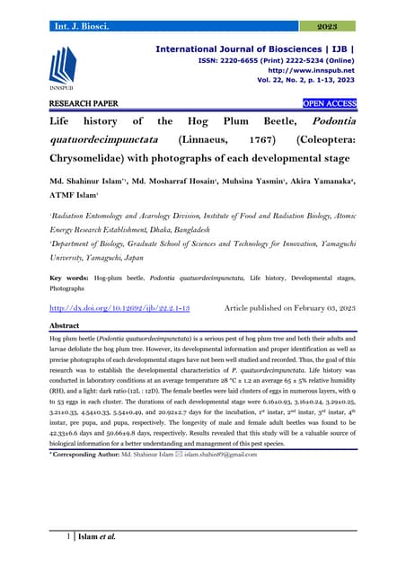 Danio rerio ( zebra fish) introduction & Morphology | PPT