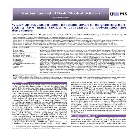 WDR7 up-regulation upon knocking down of neighboring noncoding RNA using siRNAs encapsulated in ...