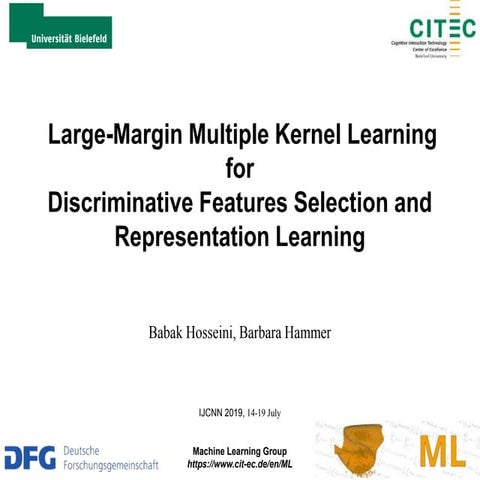 Large Margin Multiple Kernel Learning For Discriminative Features Selection And Representation
