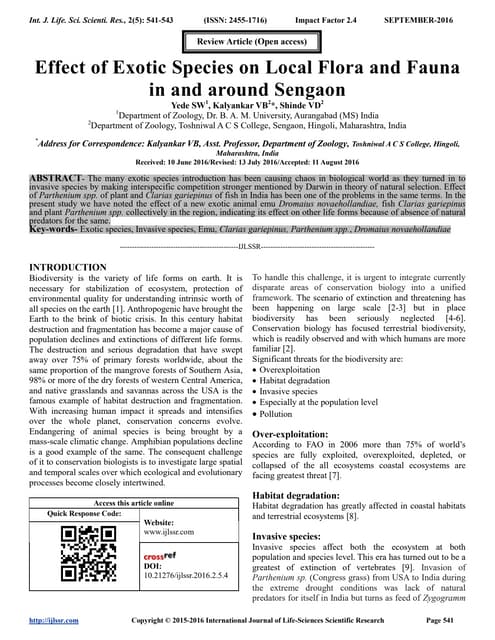 Danio rerio ( zebra fish) introduction & Morphology | PPT