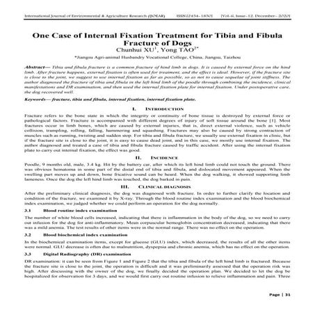 One Case of Internal Fixation Treatment for Tibia and Fibula Fracture ...