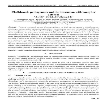 Chalkbrood: pathogenesis and the interaction with honeybee defenses ...