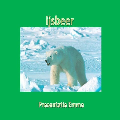 Ijsbeer | PPTX