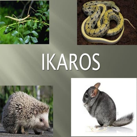Ikaros 2017 | PDF
