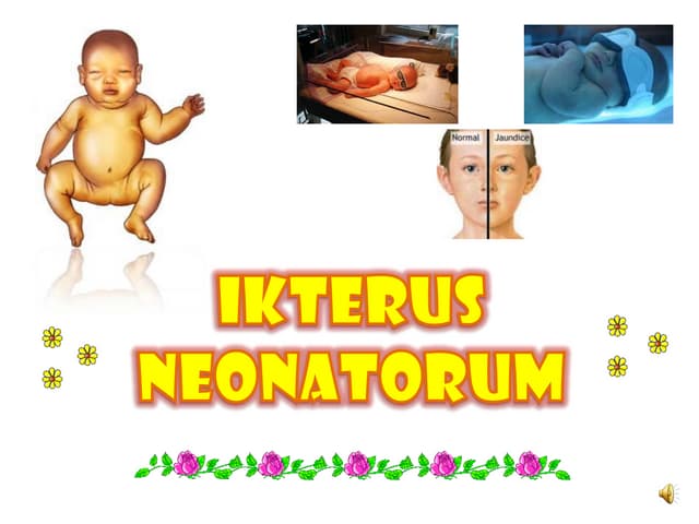 ppt Nasal Gastro Tube (NGT) pada anak dan dewasa | PPTX