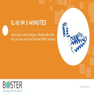 Learn IL-10 in 3 minutes | Interleukin 10 | PPTX