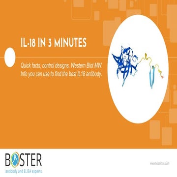 Learn IL18 in 3 minutes | Interleukin-18 | PPTX