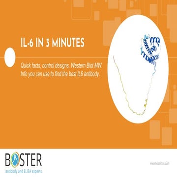 Learn IL-6 in 3 minutes | Interleukin 6 | PPTX